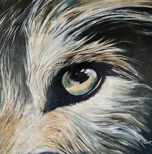"LOBO" 30 x 30 - Canvas | Think Art Gallery